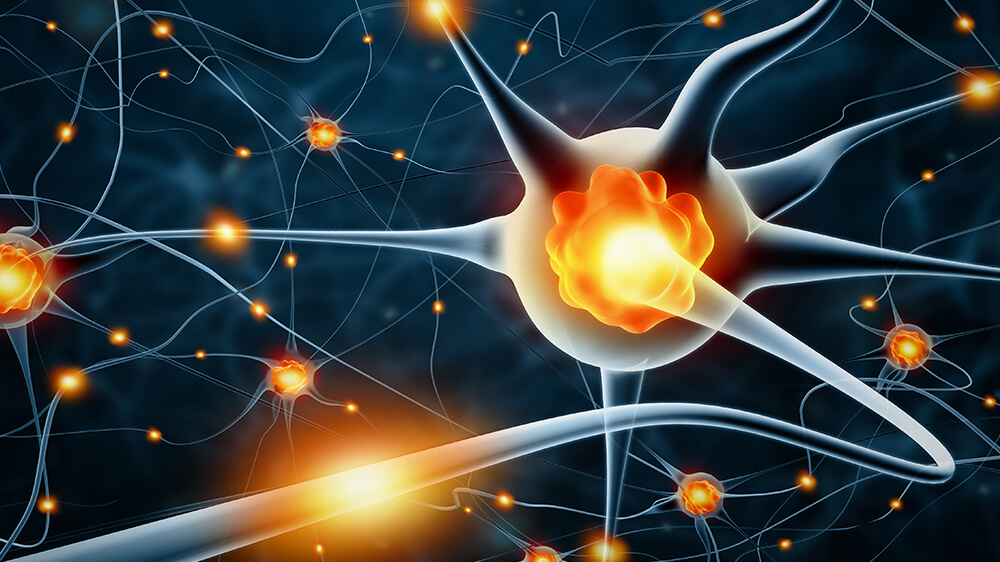 The Top 5 Easiest Methods Of Promoting Neurogenesis